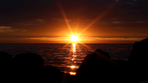 Destin – Dinu Popescu